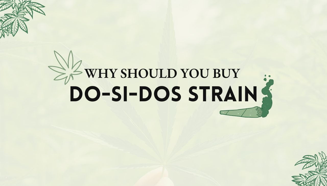 Elevate Your Mood with Do-Si-Dos Strain Soothing Effects » Green Serenity
