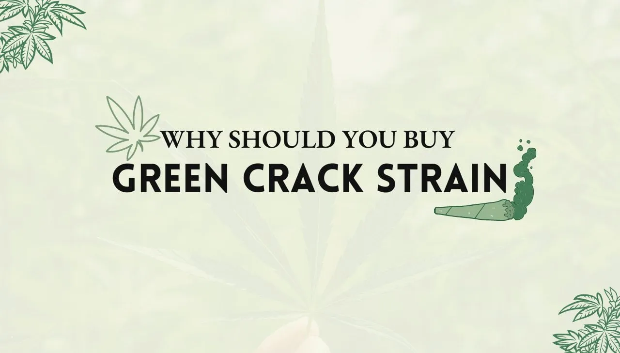 Elevate Your Mood with Green Crack Strain » Green Serenity